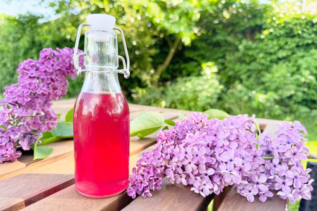 Syrensirup - Nem opskrift på sirup med syrener